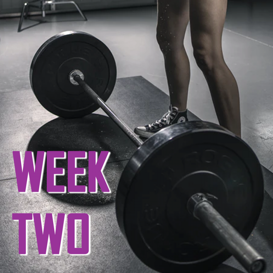 END OF WEEK 2 - Abs Over Sixty - Kim Hamilton, Dubbo